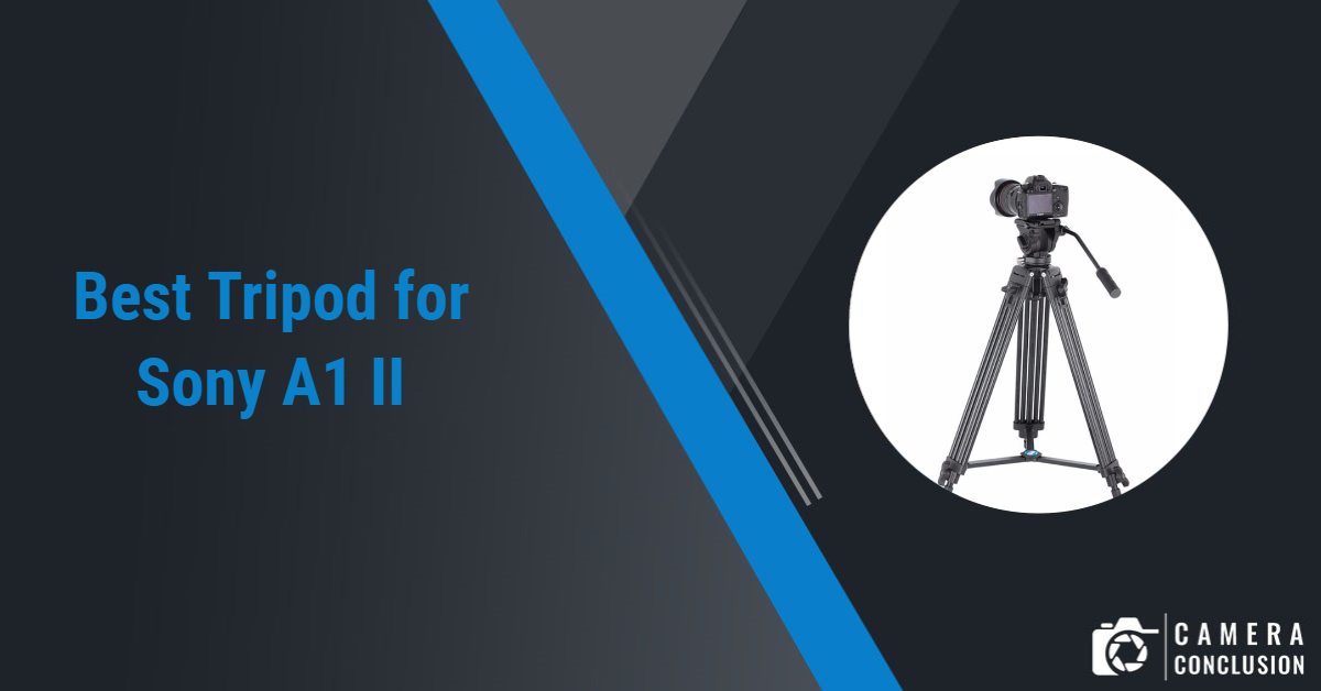 Best Sony A1 II Tripods: Perfect Balance of Stability and Portability ...